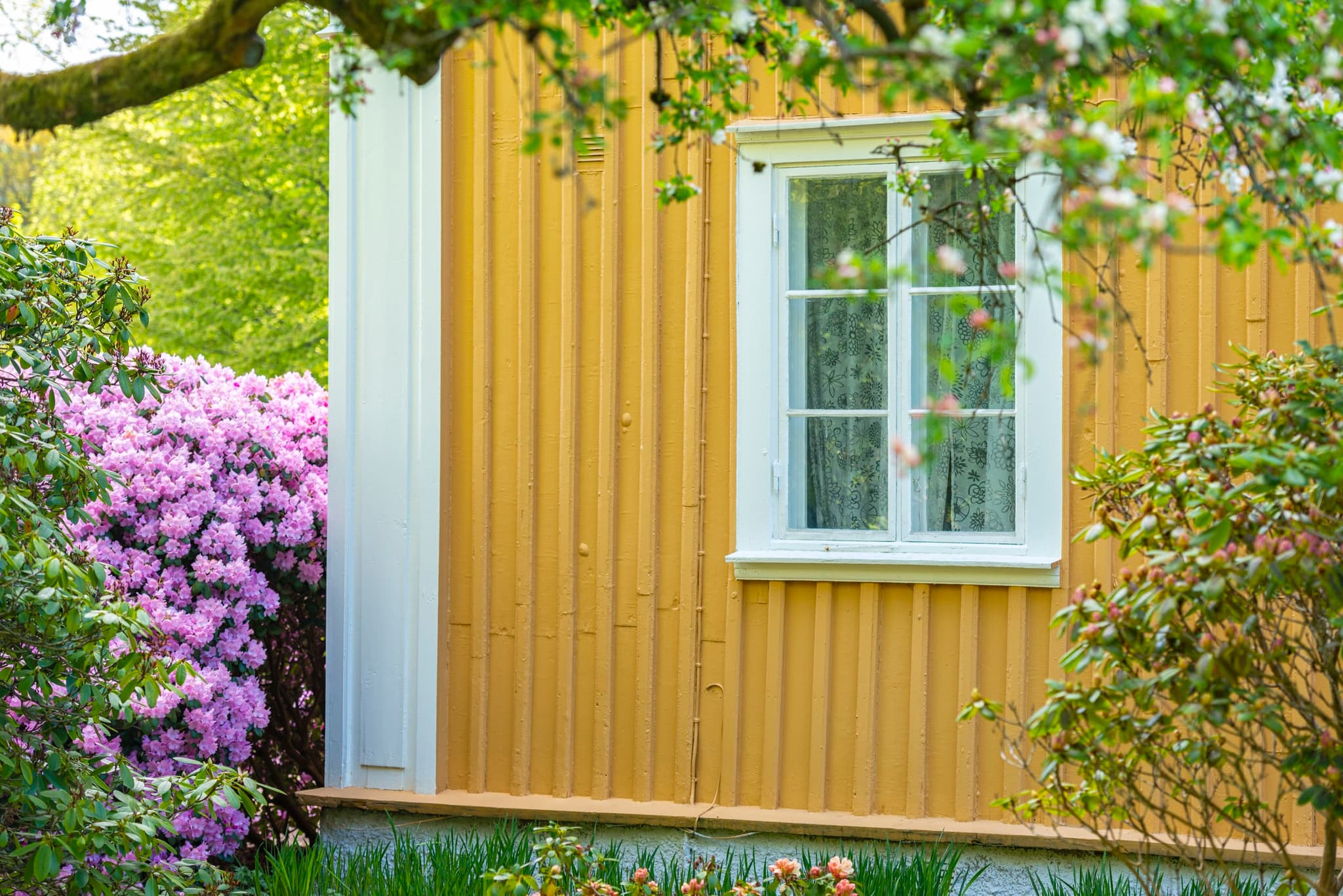 Brønnboring på hytta? Slik går du frem